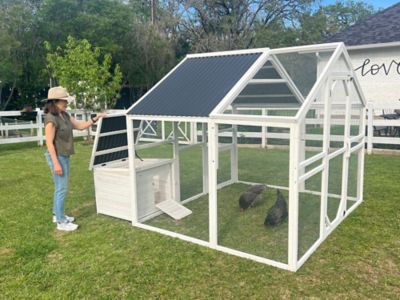 Zylina Modern Universal Poultry Pen, 10 Chicken Capacity, Medium at ...