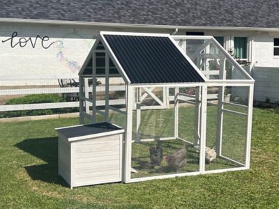 Zylina Modern Universal Poultry Pen, 10 Chicken Capacity, Medium at ...