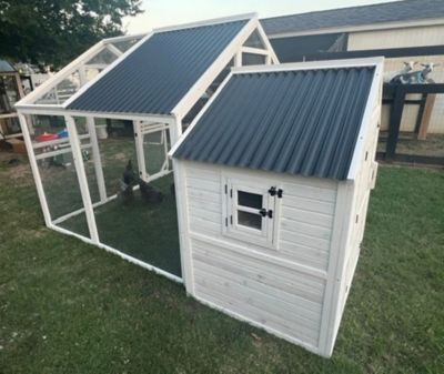 Zylina Modern Nesting & Roosting House, 10 Chicken Capacity, Poultry ...