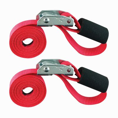 Snap-Loc 1 in. x 6 ft. Cinch Strap Tie-Down with Cam, 1,500 lb. 2 pk ...