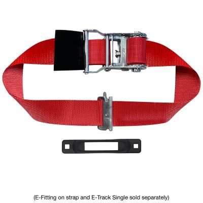 Snap-Loc 2 in. x 8 ft. Cinch Strap Tie-Down with Ratchet, 4,400 lb. at ...