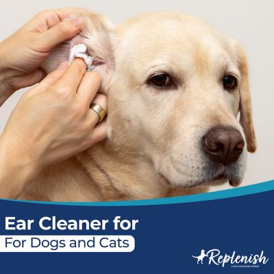 Replenish Infection Fighting Ear Cleaner by Dr. Rachel at Tractor ...