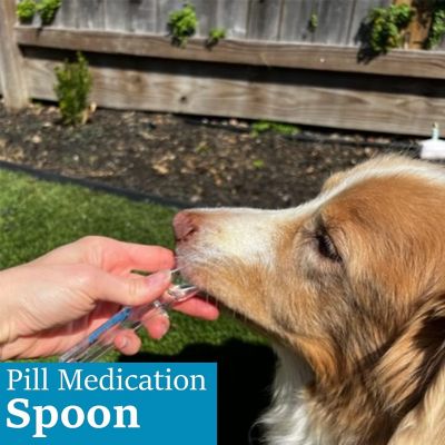 Replenish Easy Pet Medication Spoon by Dr. Rachel at Tractor Supply Co.