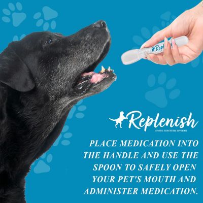 Replenish Easy Pet Medication Spoon by Dr. Rachel at Tractor Supply Co.