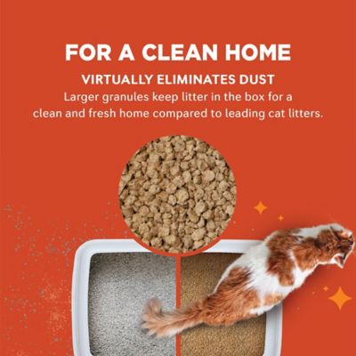 World's Best Cat Litter Low Tracking & Dust Control Cat Litter, 15 lb ...