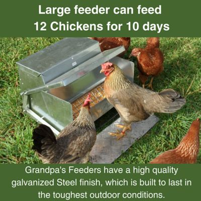 Grandpa's Feeders 40 lb. The Original and Genuine Automatic Chicken ...