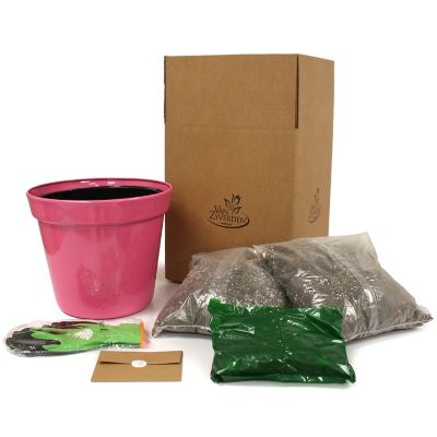 Van Zyverden Patio White Romance Lilies Kit