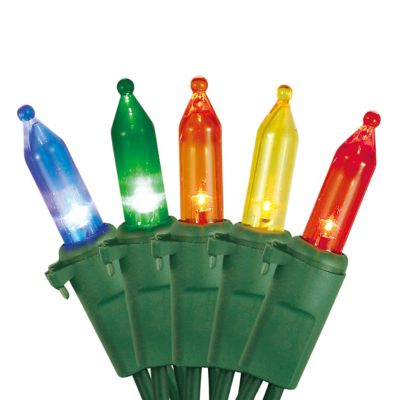 Christmas Lights at Tractor Supply Co.