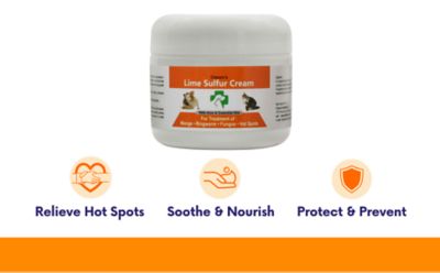 Healthy Paw Life 2 oz. Lime Sulfur Cream - Veterinary Treatment for ...