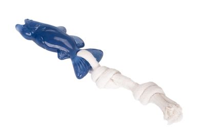 MuttNation Fueled by Miranda Lambert Fish with Rope Tug Dog Toy at ...