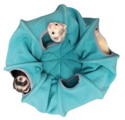 Marshall Ferret-Go-Round at Tractor Supply Co