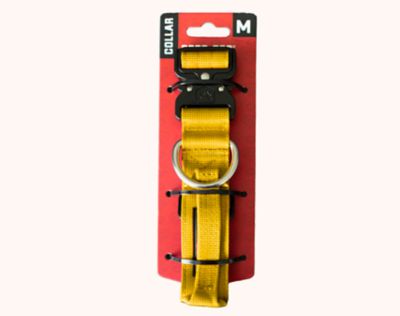 Boss Dog Tactical Dog Collar, Medium 1.5 in. (15-18in.),Yellow at ...