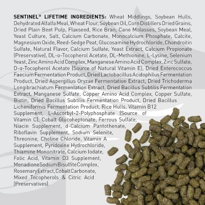 Kent Blue Seal Sentinel Lifetime Horse Feed, 50 lb. Bag at Tractor ...