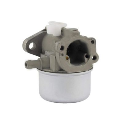 Stens Replacement OEM Carburetor for Briggs & Stratton 790120 at ...