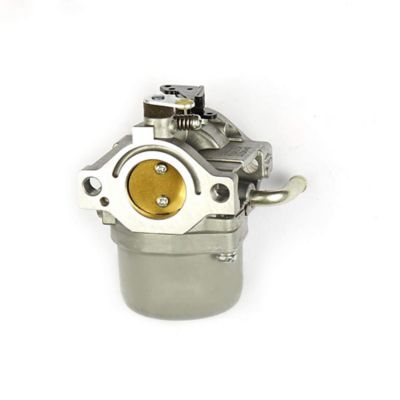 OakTen Carburetor for 590399 796077 Fits Briggs & Stratton Engine Model ...