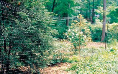 Tenax 100 ft. x 6 ft. Deer Fence Barrier, Reinforced Edge, Select at ...