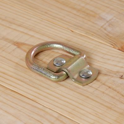 CargoSmart 3,667 lb. Heavy-Duty Surface Mount D-Ring at Tractor Supply Co