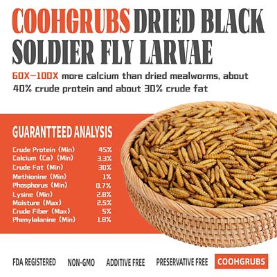 COOHGRUBS Premium Grade Dried Black Soldier Fly Larvae Chicken Treats ...