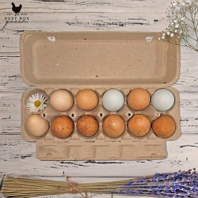 Nest Box Queen Fresh Eggs Printed Egg Cartons, 30 pk. at Tractor Supply Co.