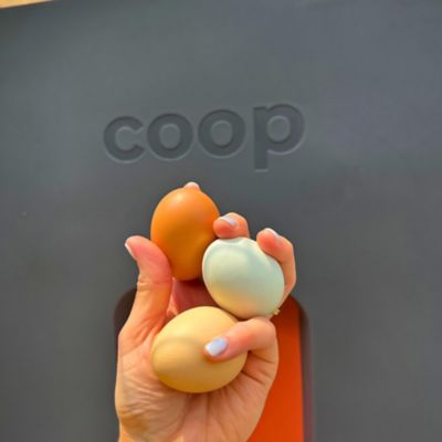 Coop The Smart Chicken Coop on Elevated Base, 6 Chicken Capacity at Tractor Supply Co.