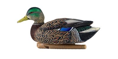 Avian X Top Flight Early Season Mallards at Tractor Supply Co.