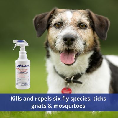 Flea Halt Flea and Tick Spray Plus Citronella Scent for Dogs, 32 oz. at ...