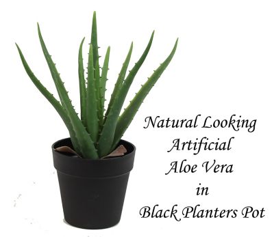 The Mod Greenhouse 14 in. Artifical Aloe Vera Plant in a Black Matte ...
