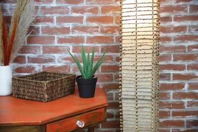 The Mod Greenhouse 14 in. Artifical Aloe Vera Plant in a Black Matte ...