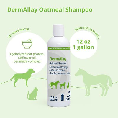 Dechra DermAllay Oatmeal Shampoo, 12 oz. at Tractor Supply Co.