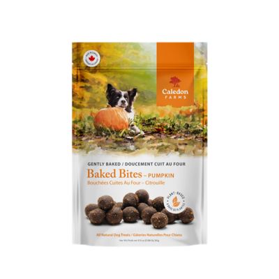 Caledon Farms Pumpkin Spice Bites, 9.3 oz. at Tractor Supply Co
