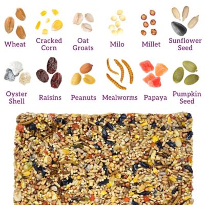 ImPECKables Fruit & Worms Cake Chicken Treats, 30 oz. at Tractor Supply Co