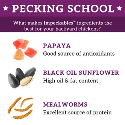 ImPECKables Fruit & Worms Cake Chicken Treats, 30 oz. at Tractor Supply Co