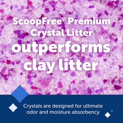 PetSafe ScoopFree Premium Lavender Crystal Litter, 2 Pack of 4.3 lb ...