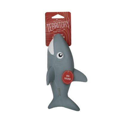 Territory Natural Rubber Shark Squeaker Dog Toy at Tractor Supply Co.