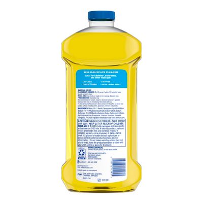 Mr. Clean 2X Concentrated Multi Surface Cleaner at Tractor Supply Co.