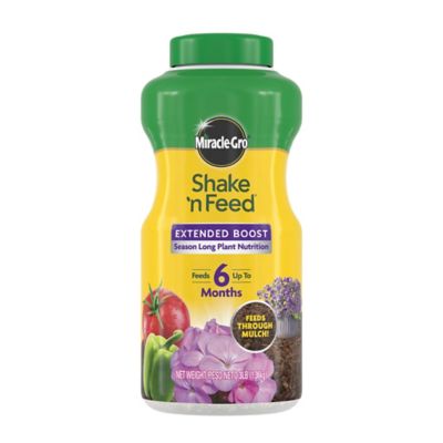 Miracle-Gro Shake 'N Feed Extended Boost Plant Food, 3 lb. at Tractor ...