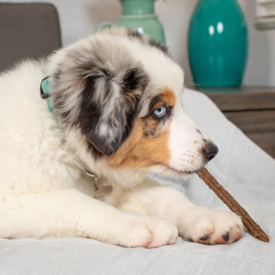 Natural Cravings Sizzle Sticks Chicken 12 oz. Soft Jerky Sticks at ...