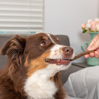 Natural Cravings Sizzle Sticks Chicken 12 oz. Soft Jerky Sticks at ...