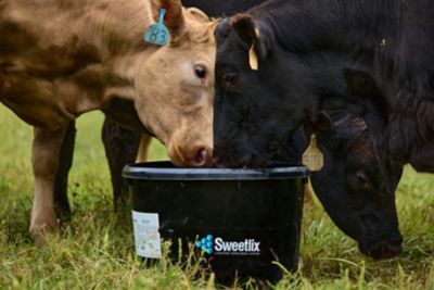 Sweetlix 20 Percent All Natural Tub, 200 lb. at Tractor Supply Co.