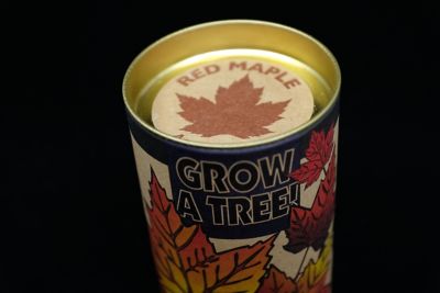 The Jonsteen Company Red Maple Tree Seed Grow Kit at Tractor Supply Co