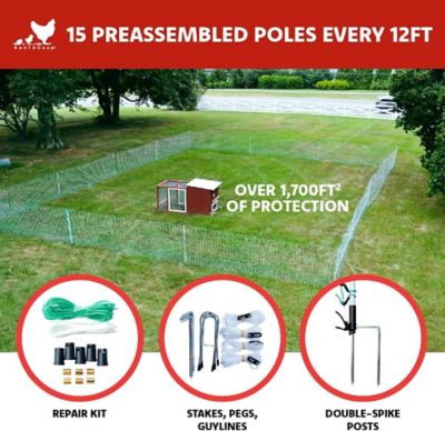 RentACoop Electric Anti Predator Poultry Fence, 48 in. by 168 ft. at ...