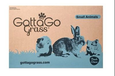 Gotta Go Grass Real Grass Small Animal Potty Pad and Tray 1 pk. and ...