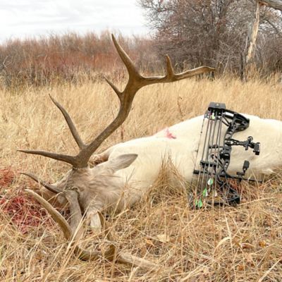 Pro-Tracker Archery Recovery System Bowhunting Recovery System, RF ...