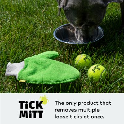 TiCK MiTT Chemical Free Tick Removal Tool for People and Pets, Green at ...