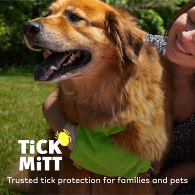 TiCK MiTT Chemical Free Tick Removal Tool for People and Pets, Green at ...