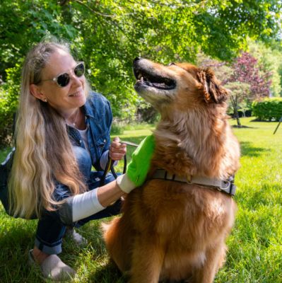 TiCK MiTT Chemical Free Tick Removal Tool for People and Pets, Green