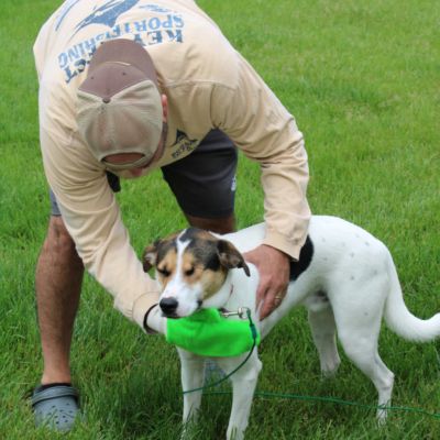 TiCK MiTT Chemical Free Tick Removal Tool for People and Pets, Green