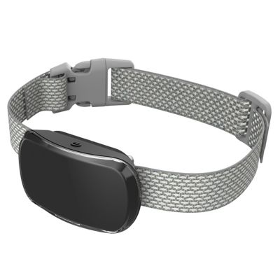 Bark Collars at Tractor Supply Co.