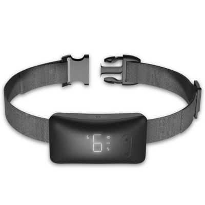 Bark Collars at Tractor Supply Co.