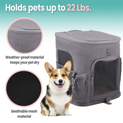 Critter Sitters Pet Backpack for 22 Lbs. Dogs and Cats with Suitcase ...